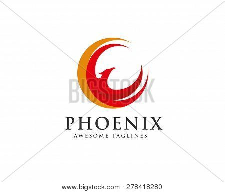 Phoenix Circle Logo Vector & Photo (Free Trial) | Bigstock