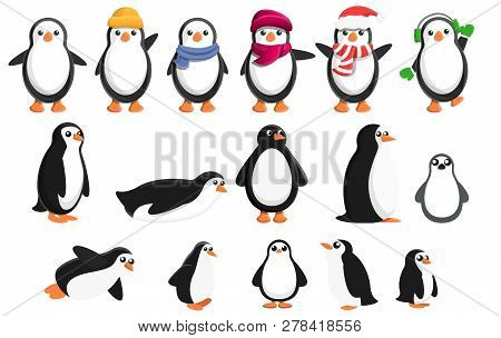 Penguin Icons Set. Vector & Photo (Free Trial) | Bigstock