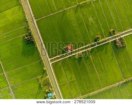 Top Down View Drone Image & Photo (Free Trial) | Bigstock