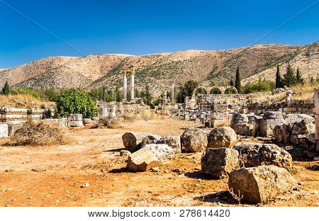 Gerrha Images, Illustrations & Vectors (Free) - Bigstock