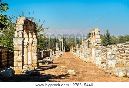 Gerrha Images, Illustrations & Vectors (Free) - Bigstock