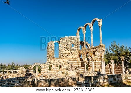 Gerrha Images, Illustrations & Vectors (Free) - Bigstock