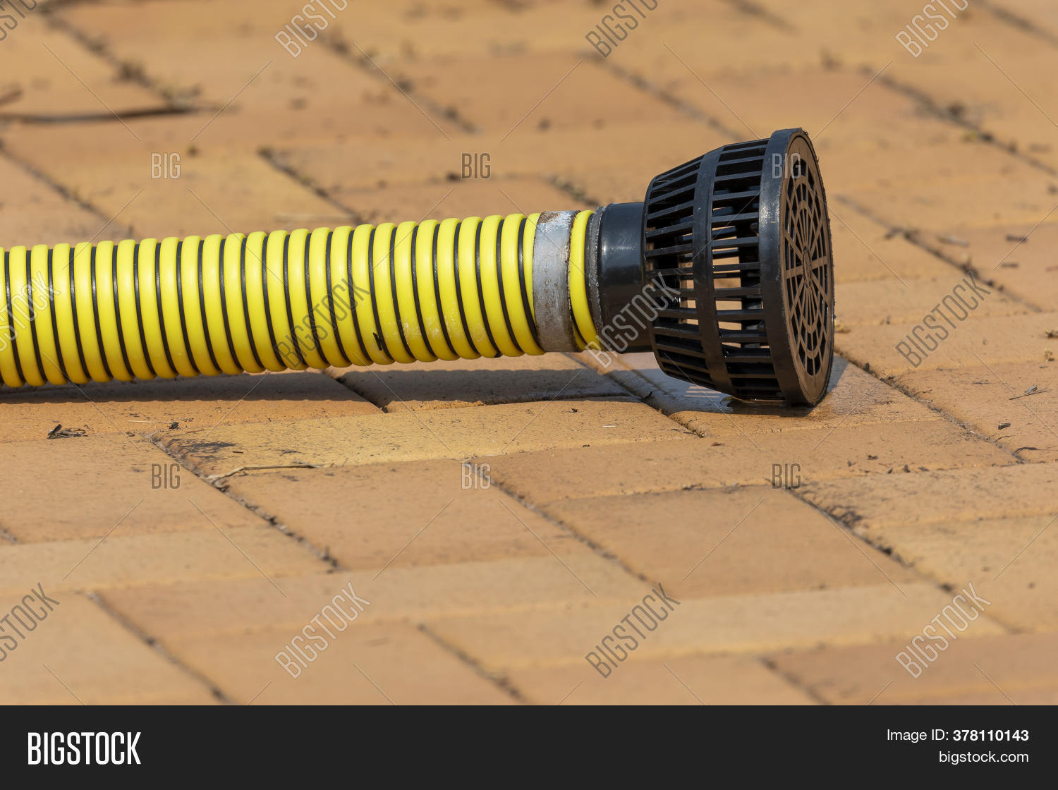 Yellow Irrigation Image & Photo (Free Trial) | Bigstock