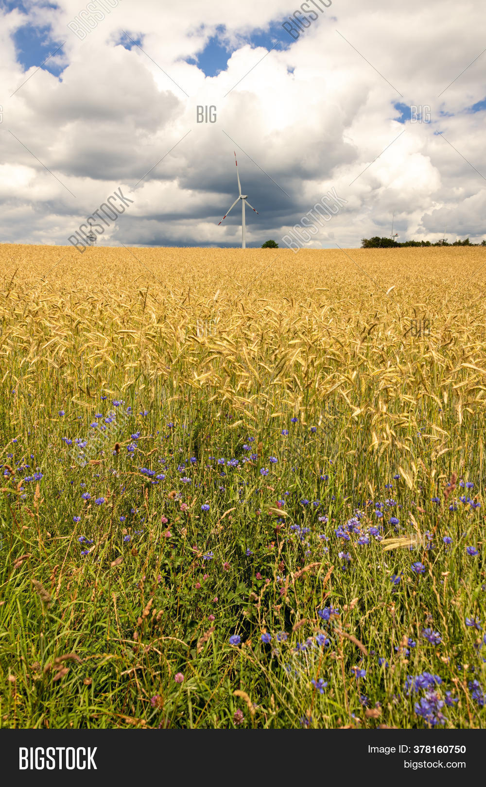 Grainfield Wind Energy Image & Photo (Free Trial) | Bigstock