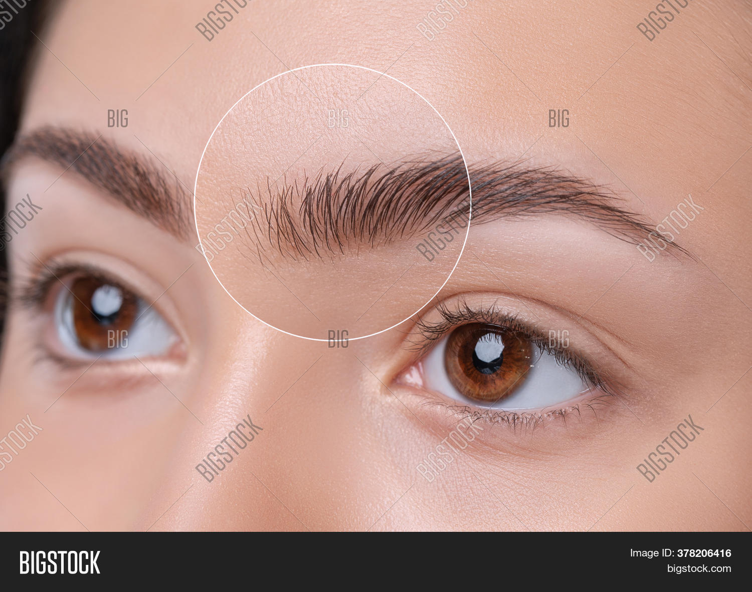 Eyebrows Young Image & Photo (Free Trial) | Bigstock