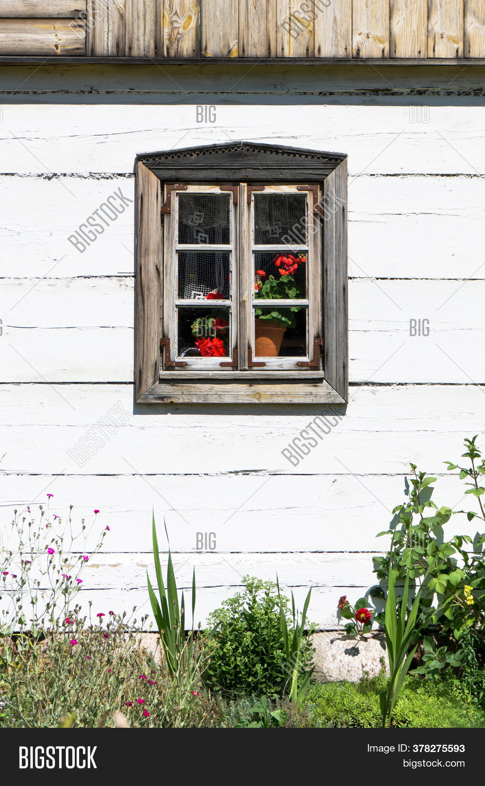 Wood Window Background