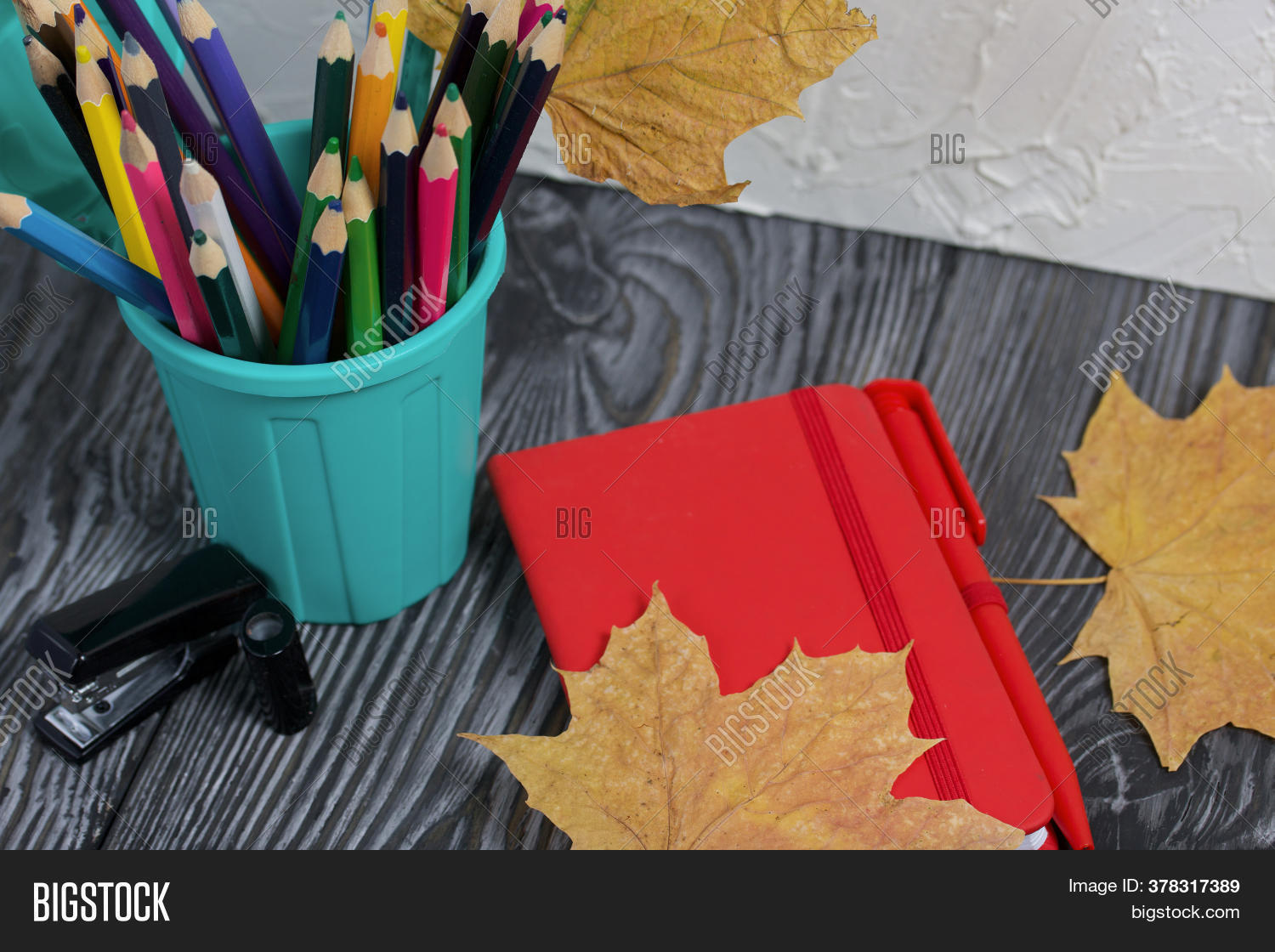 Pencil Case Form Trash Image & Photo (Free Trial) | Bigstock