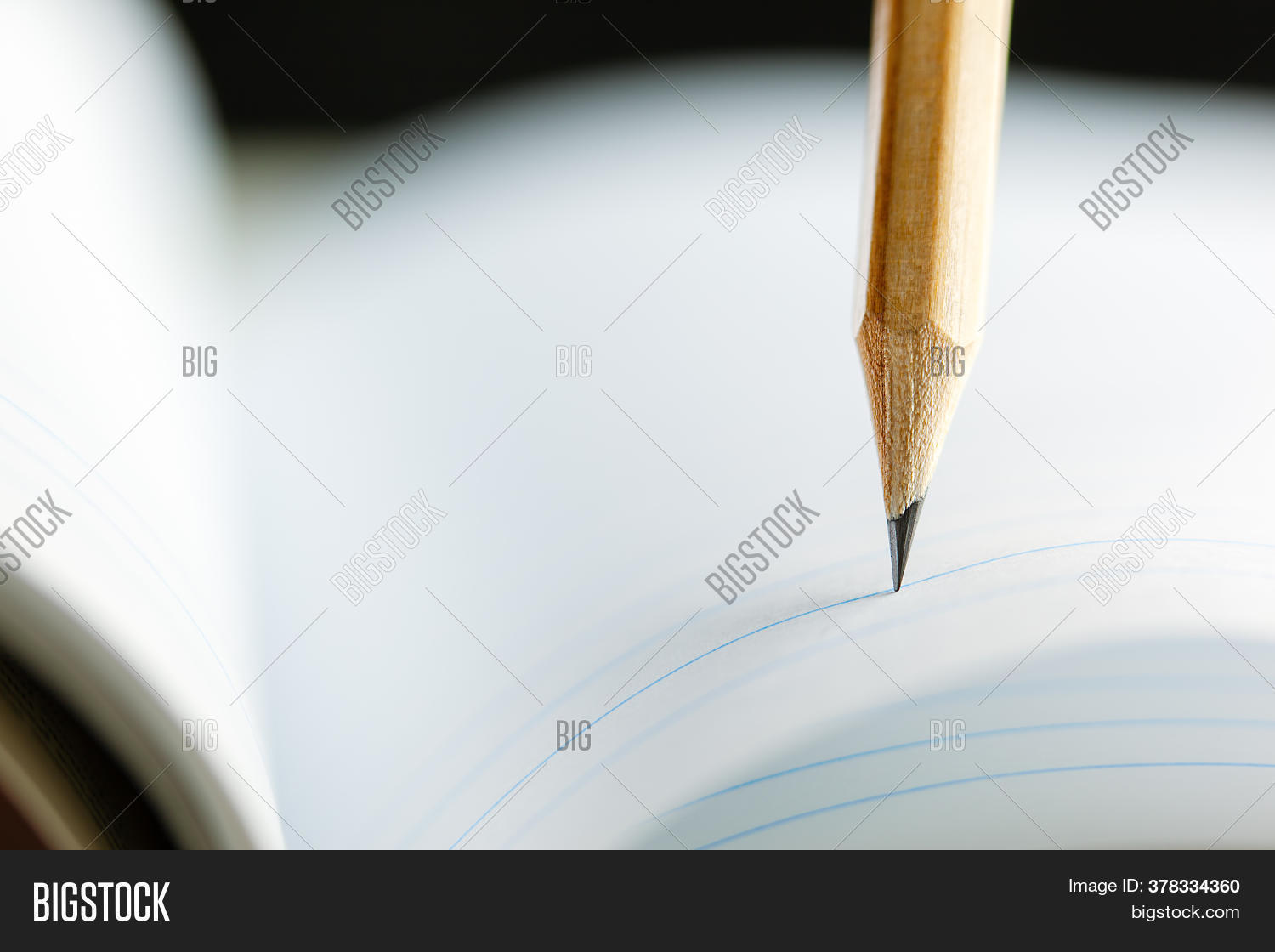 Closeup Sharp Graphite Image & Photo (Free Trial) | Bigstock