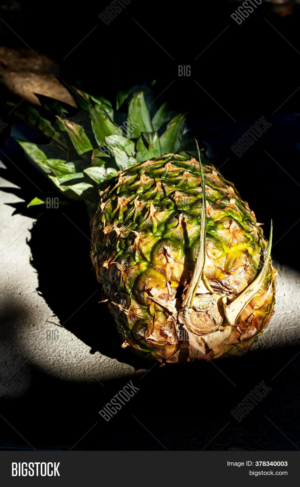 Ripe Ananas Between Image & Photo (Free Trial) | Bigstock