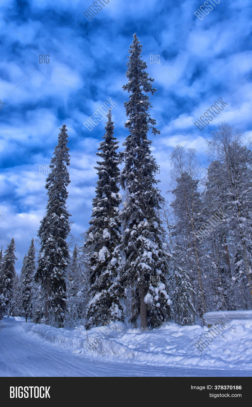 Wonderful Wintry Image & Photo (Free Trial) | Bigstock
