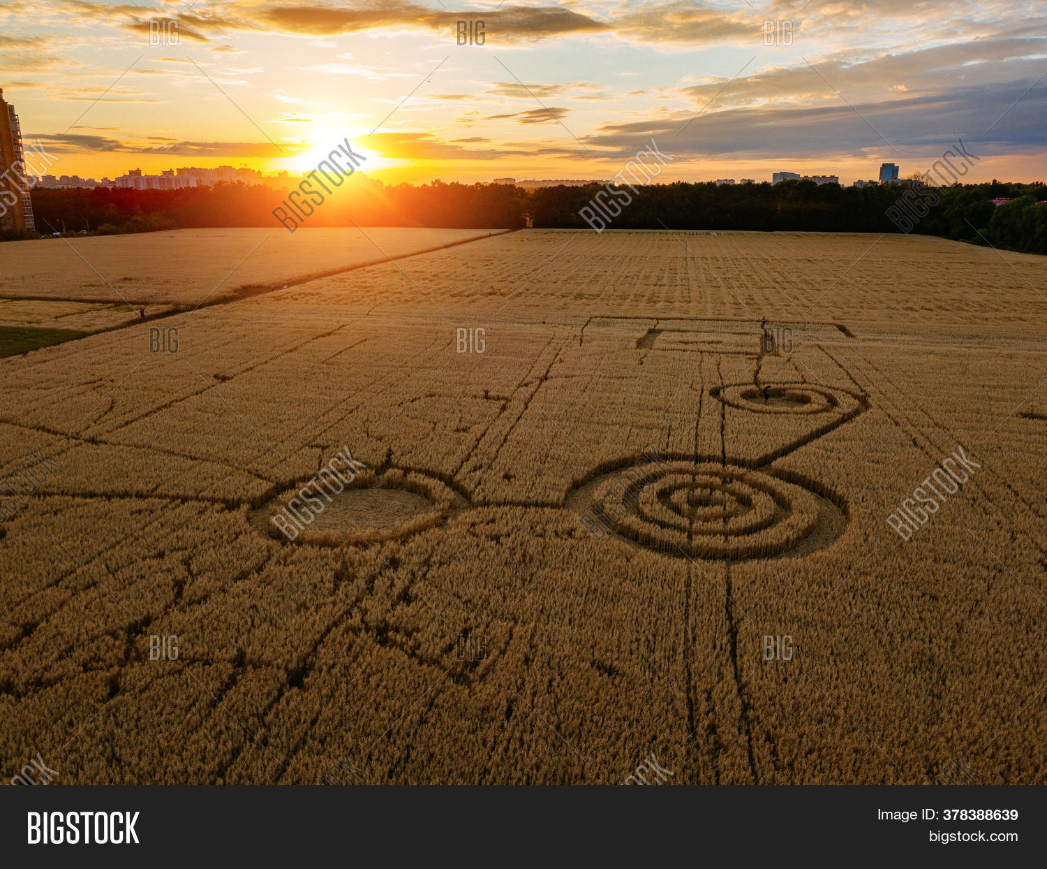 Mysterious Crop Circle Image & Photo (Free Trial) | Bigstock
