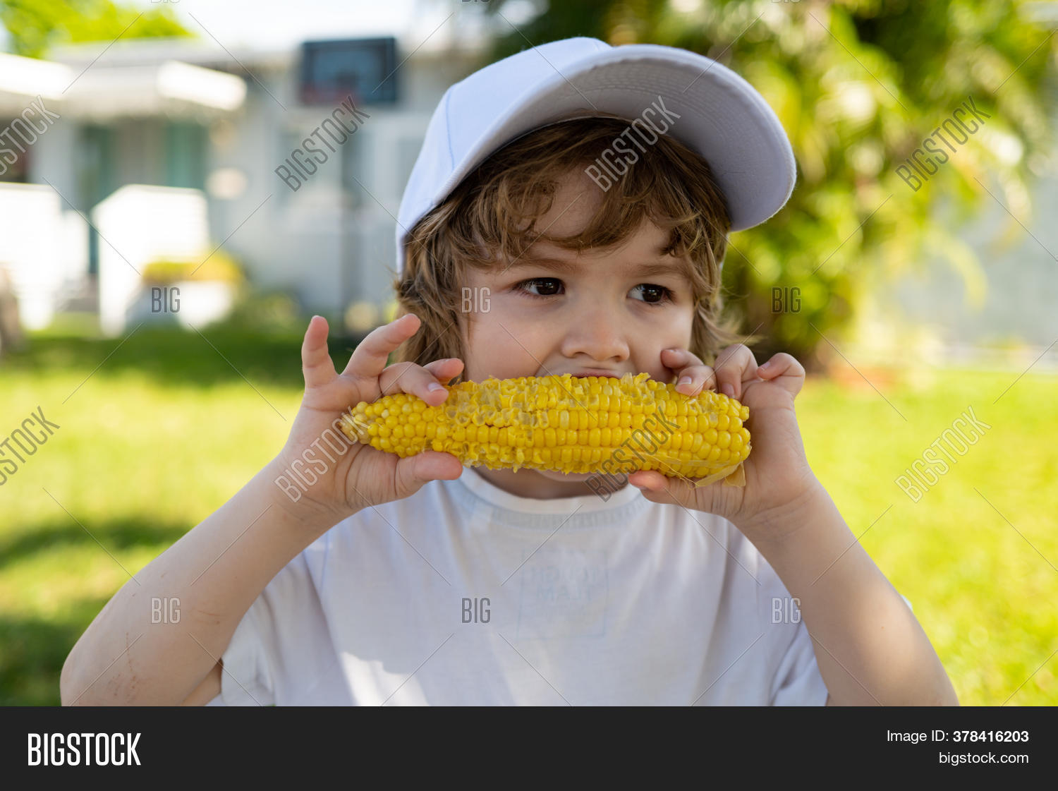 Young Boy Eating Corn Image & Photo (Free Trial) | Bigstock