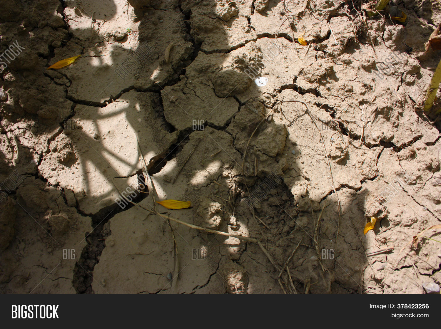 Arid Ground Cracked Image & Photo (Free Trial) | Bigstock