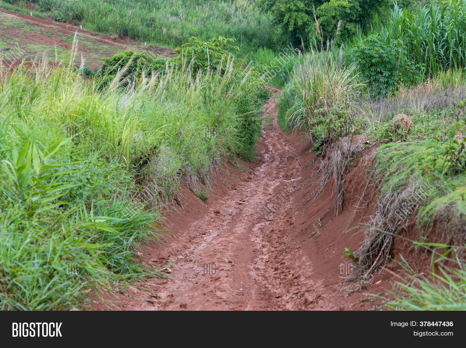 Muddy Road Adventure Image & Photo (Free Trial) | Bigstock