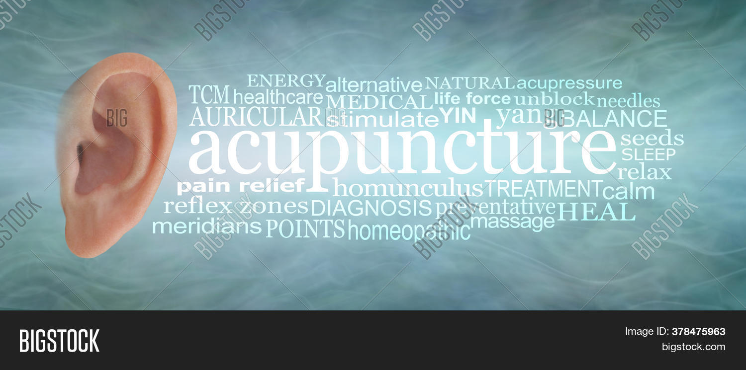 Ear Acupuncture Word Image & Photo (Free Trial) | Bigstock