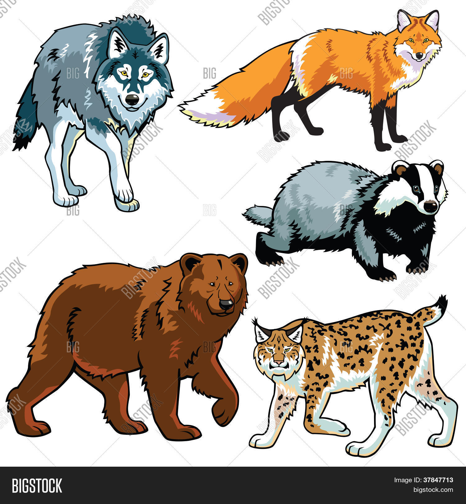 Set Wild Predators Vector & Photo (Free Trial) | Bigstock