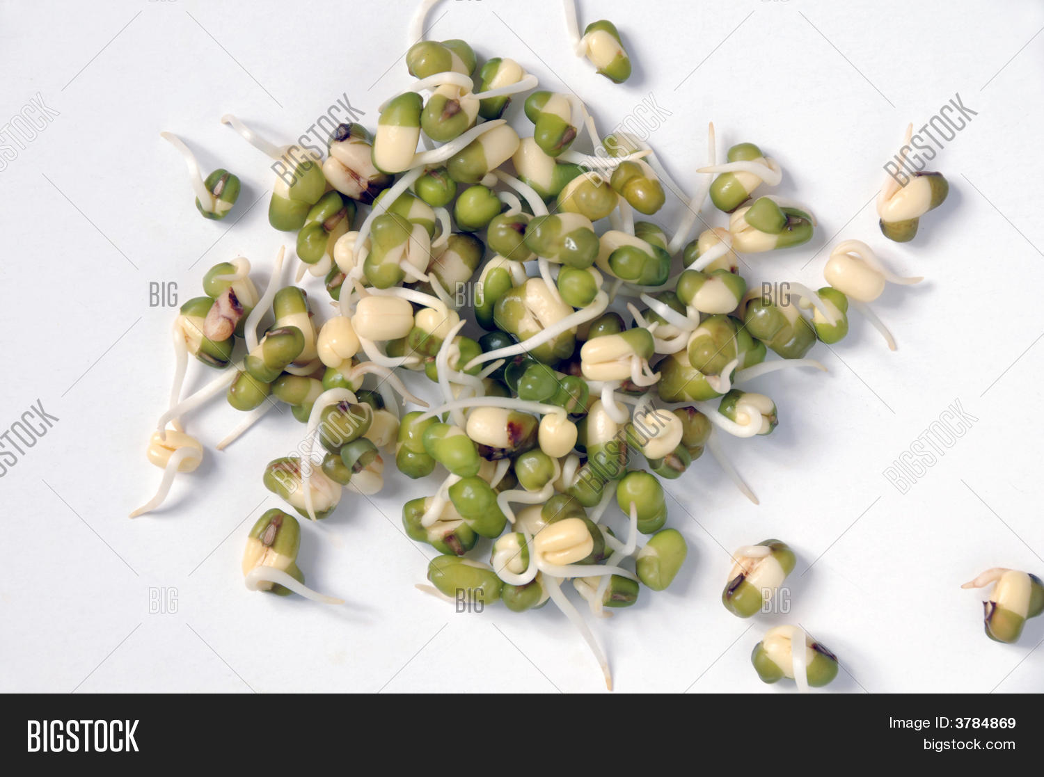 Mung Image & Photo (Free Trial) | Bigstock