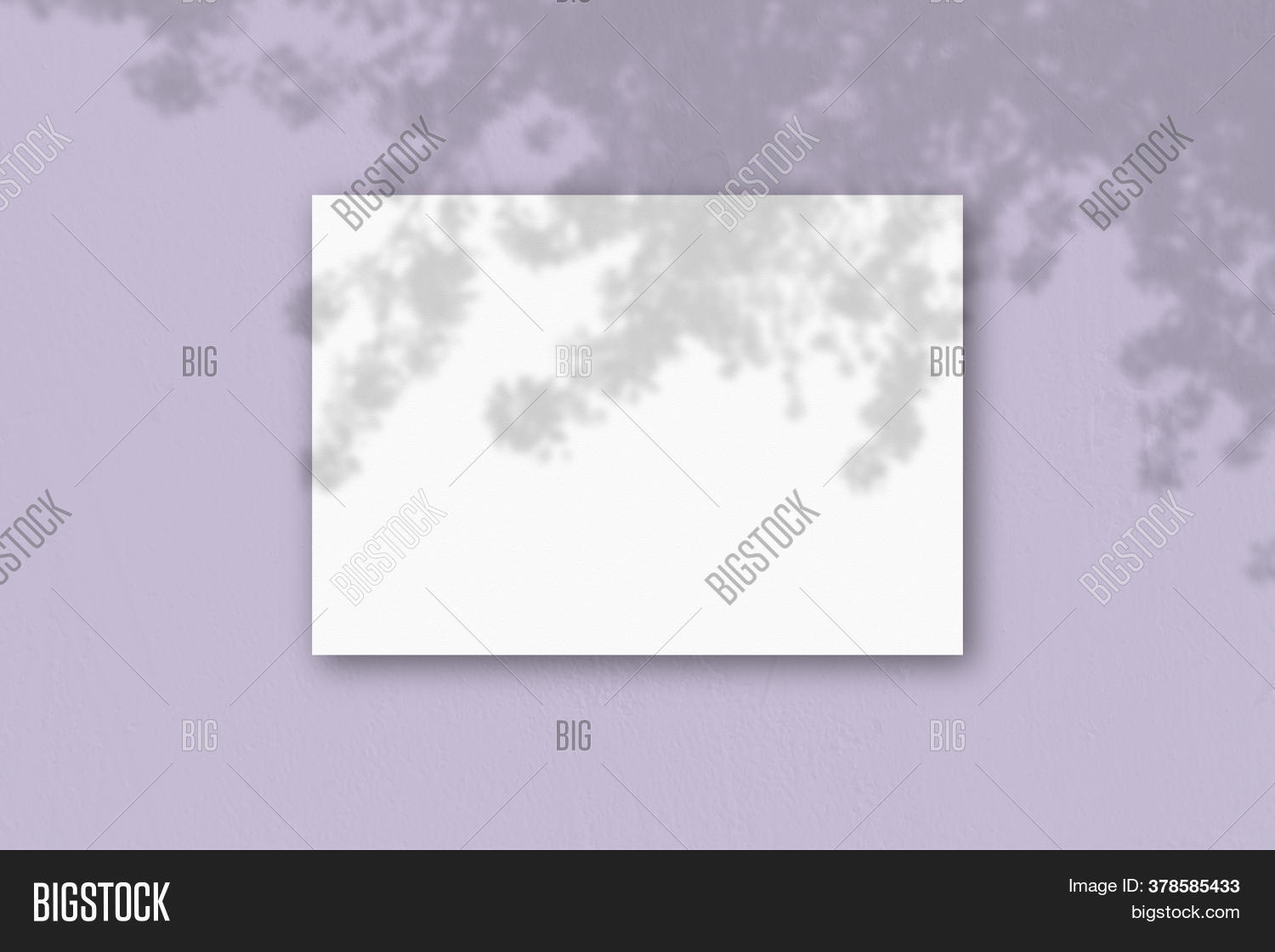 Horizontal A4 Sheet Image & Photo (Free Trial) | Bigstock
