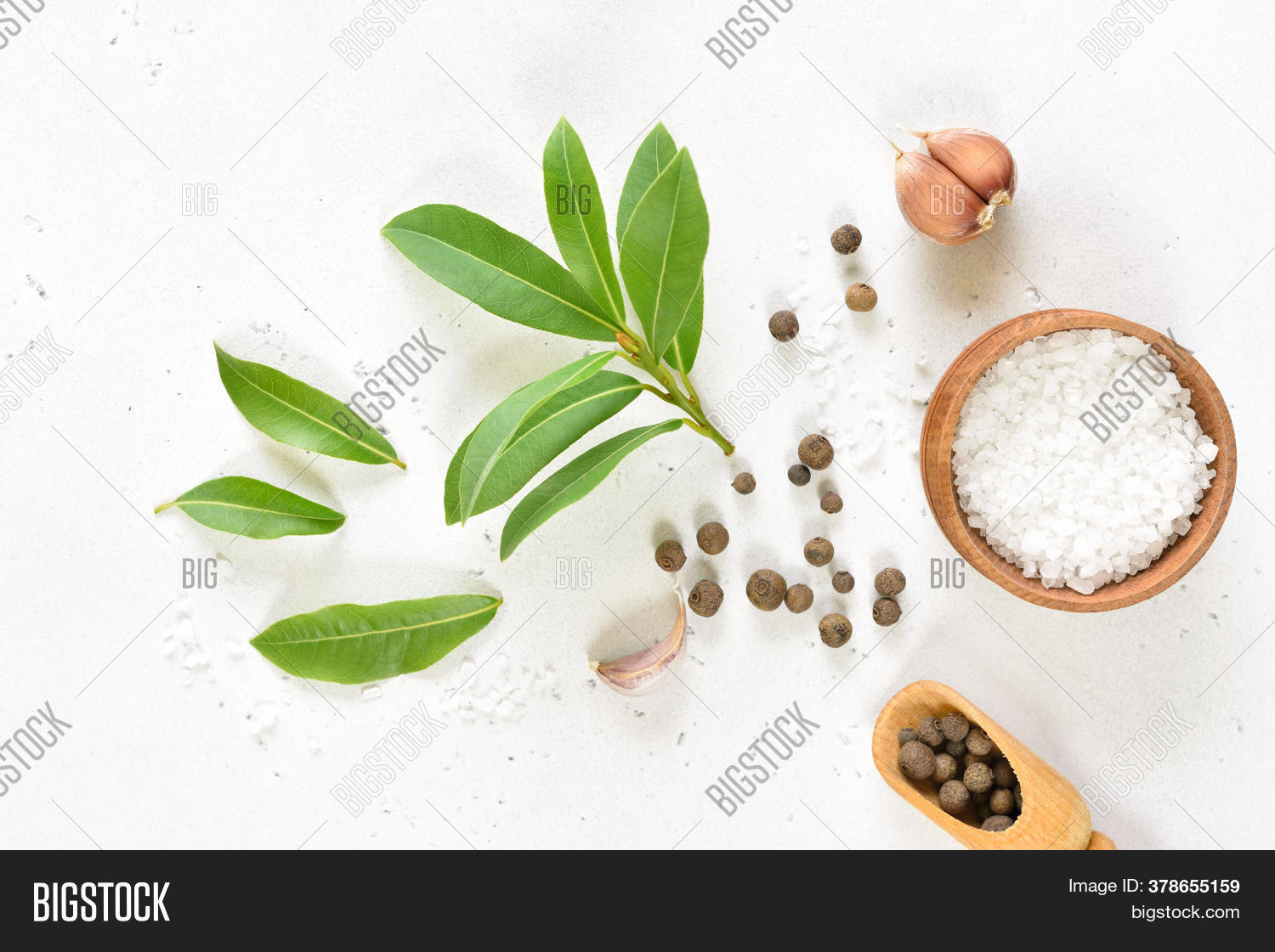 Fresh Bay Leaf, Image & Photo (Free Trial) | Bigstock