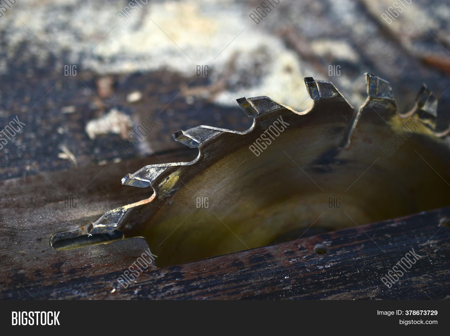 Round Saw Woodworking Image & Photo (Free Trial) | Bigstock