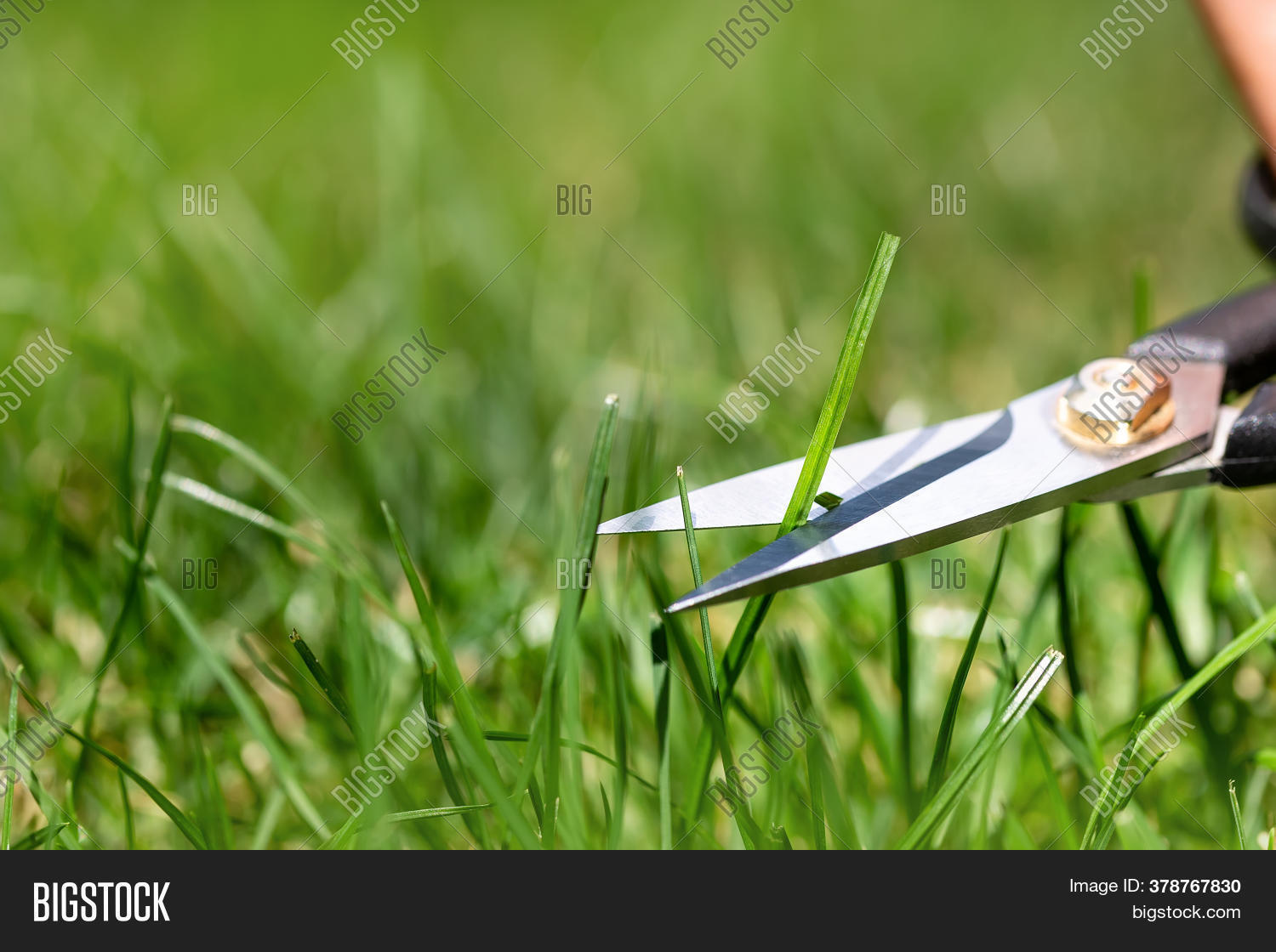 Close- Detail View Man Image & Photo (Free Trial) | Bigstock