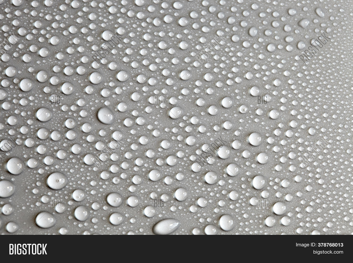 Details Water Droplets Image & Photo (Free Trial) | Bigstock