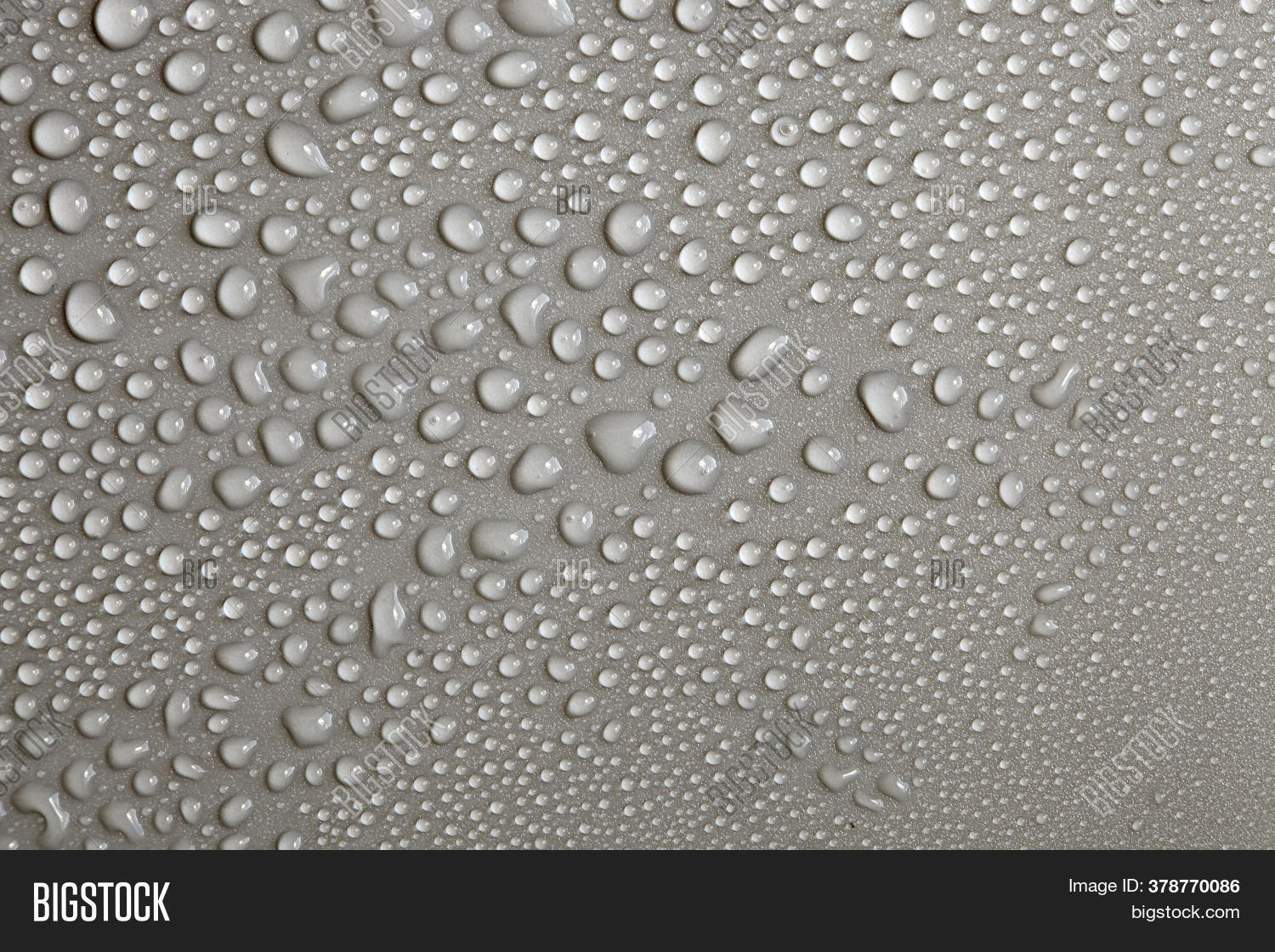 Details Water Droplets Image & Photo (Free Trial) | Bigstock