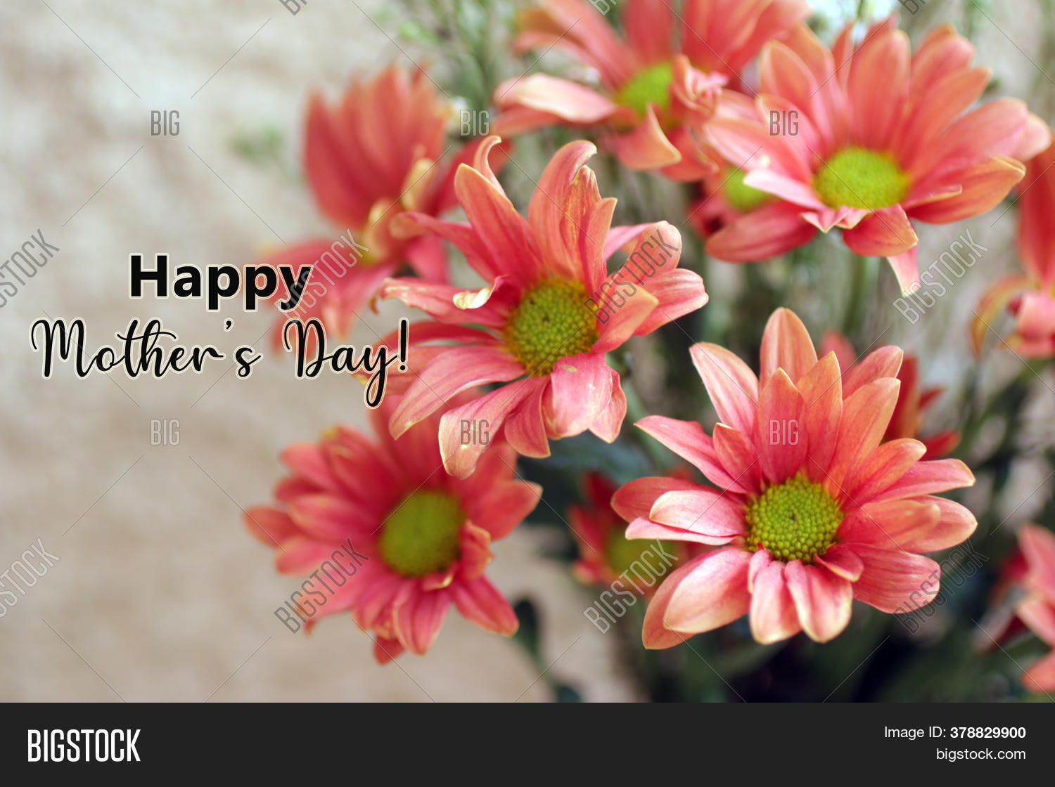 Mothers Day Flowers Wallpaper