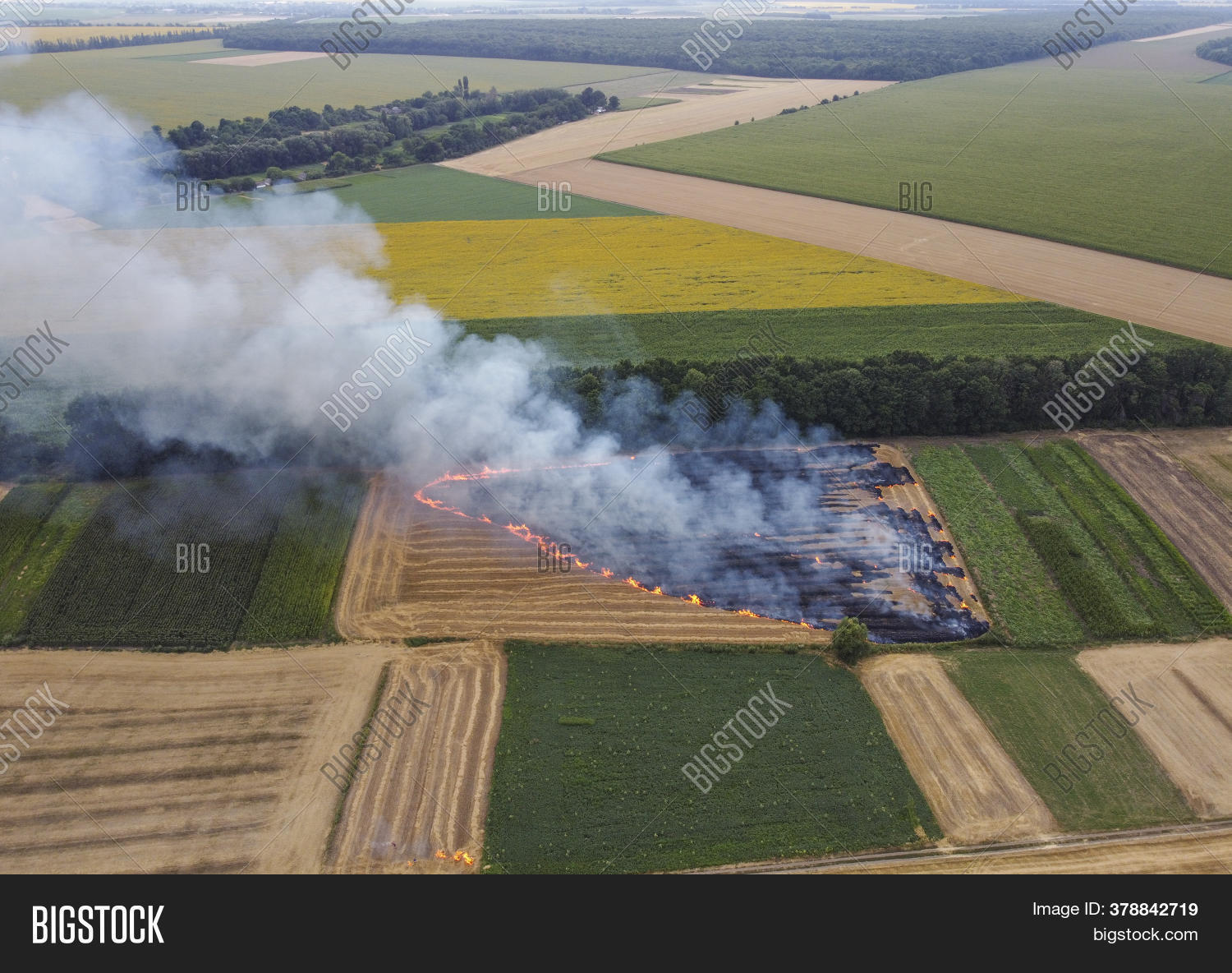 Mowing Straw Burning Image & Photo (Free Trial) | Bigstock