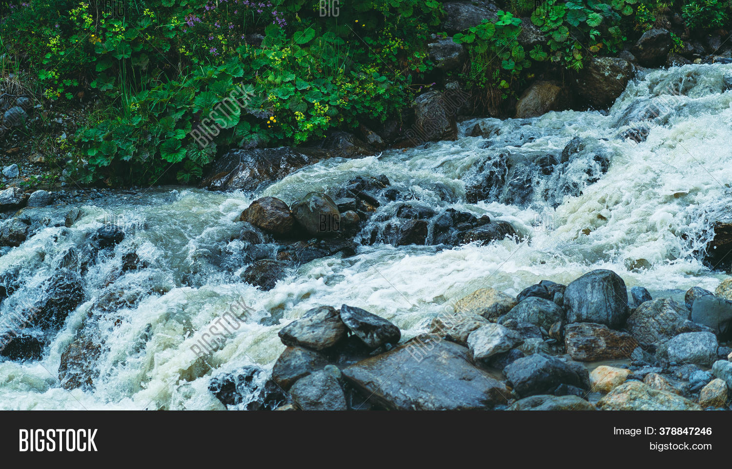 Fast River Near Green Image & Photo (Free Trial) | Bigstock
