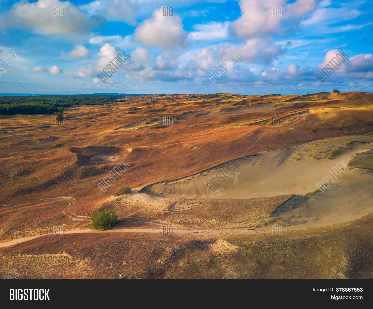 Beautiful Grey Dunes, Image & Photo (Free Trial) | Bigstock