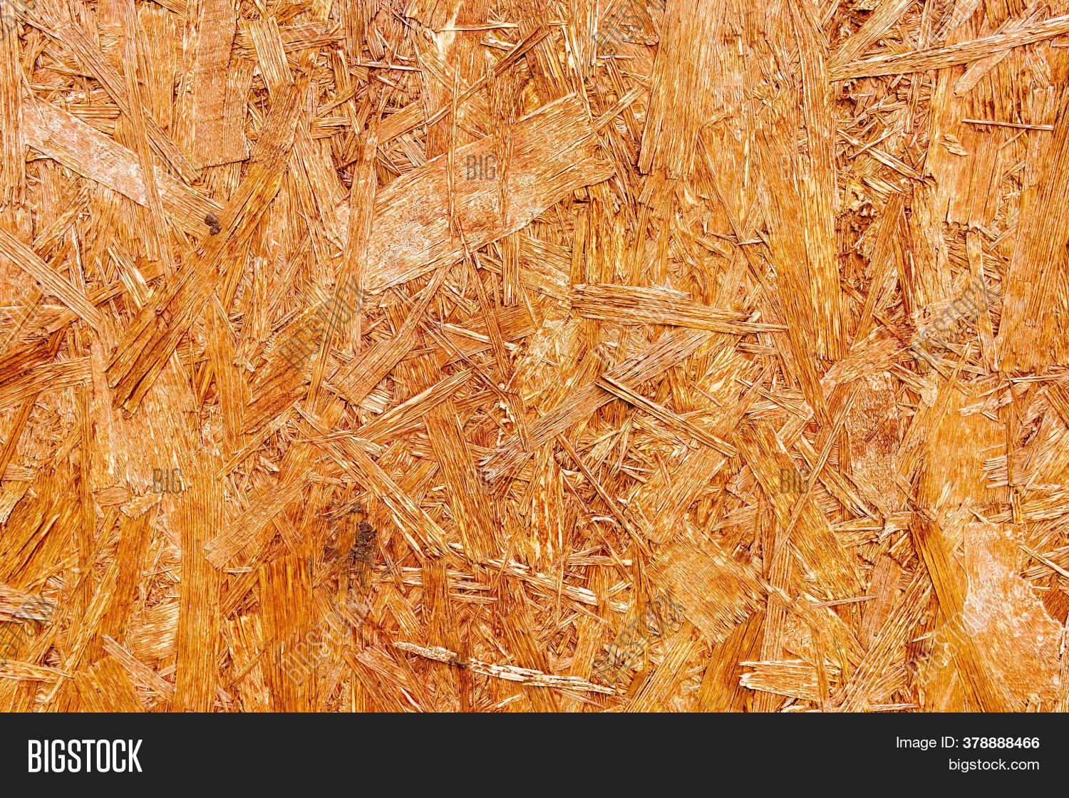 Pressed Wooden Panel Image & Photo (Free Trial) | Bigstock