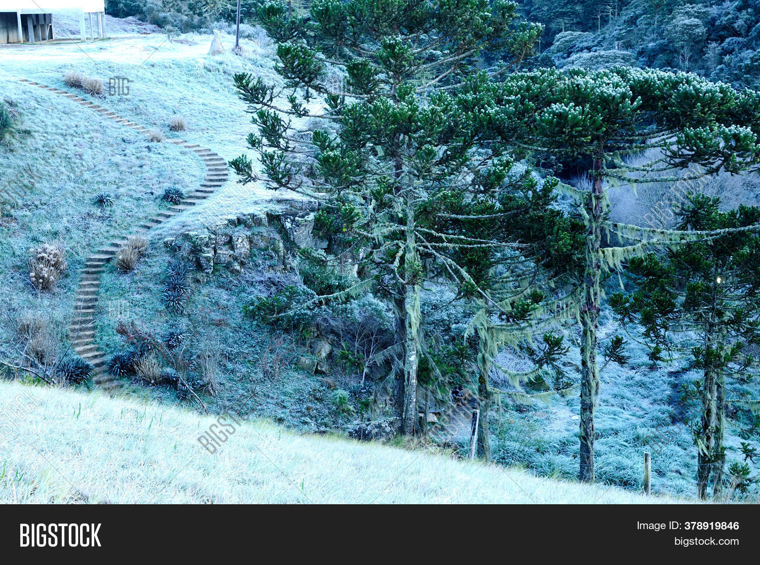 Intense Cold Severe Image & Photo (Free Trial) | Bigstock