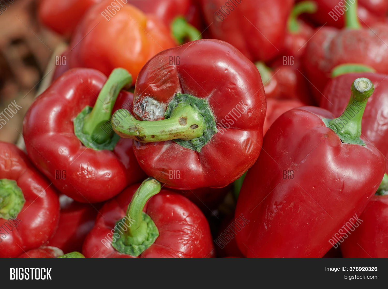 Red Bell Pepper Close Image & Photo (Free Trial) | Bigstock