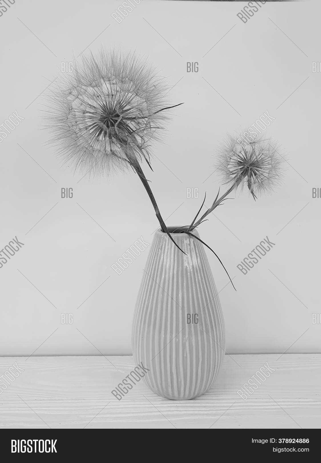 Vase Flower Dandelion Image & Photo (Free Trial) | Bigstock