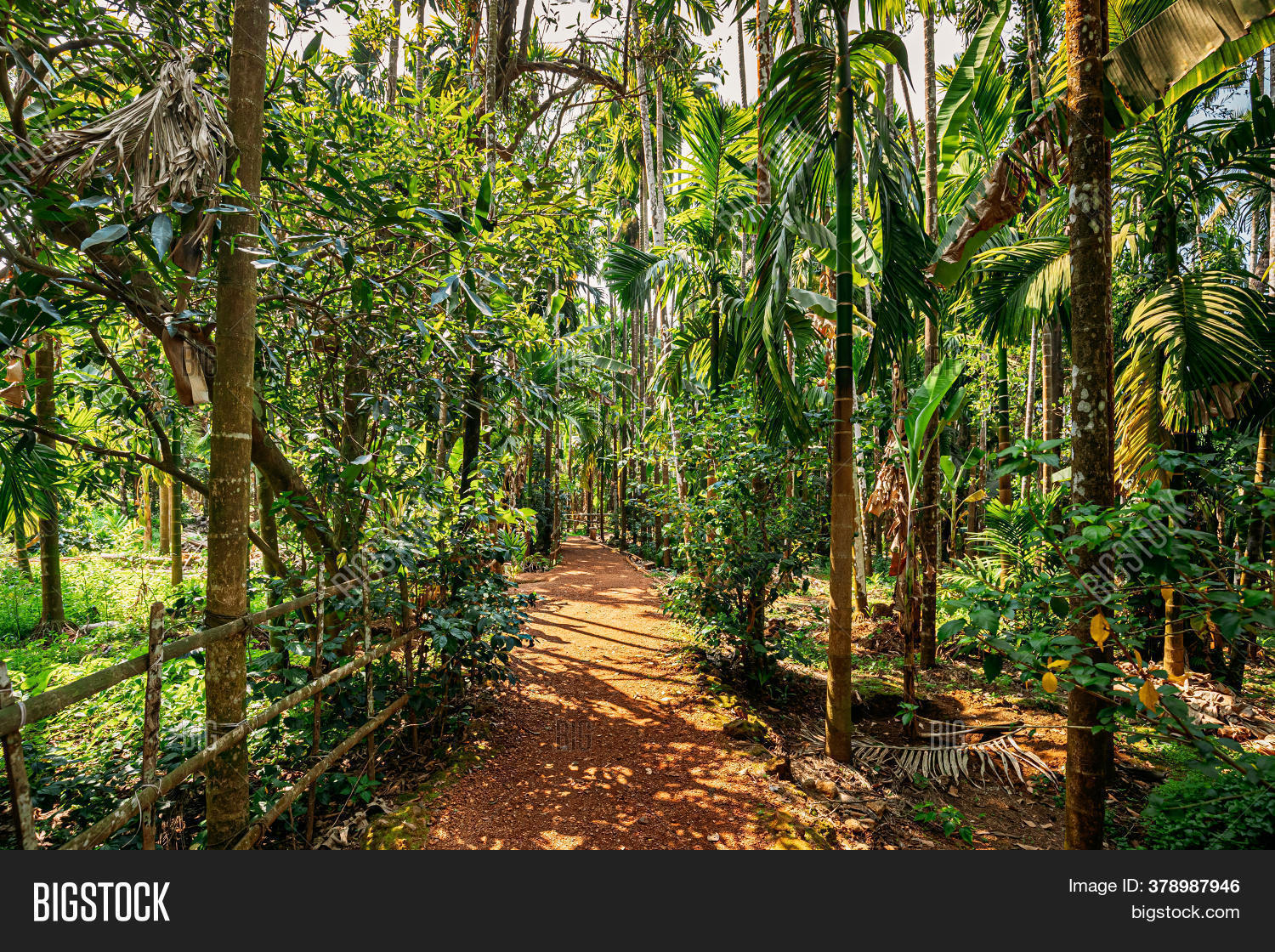 Goa, India. View Road Image & Photo (Free Trial) | Bigstock