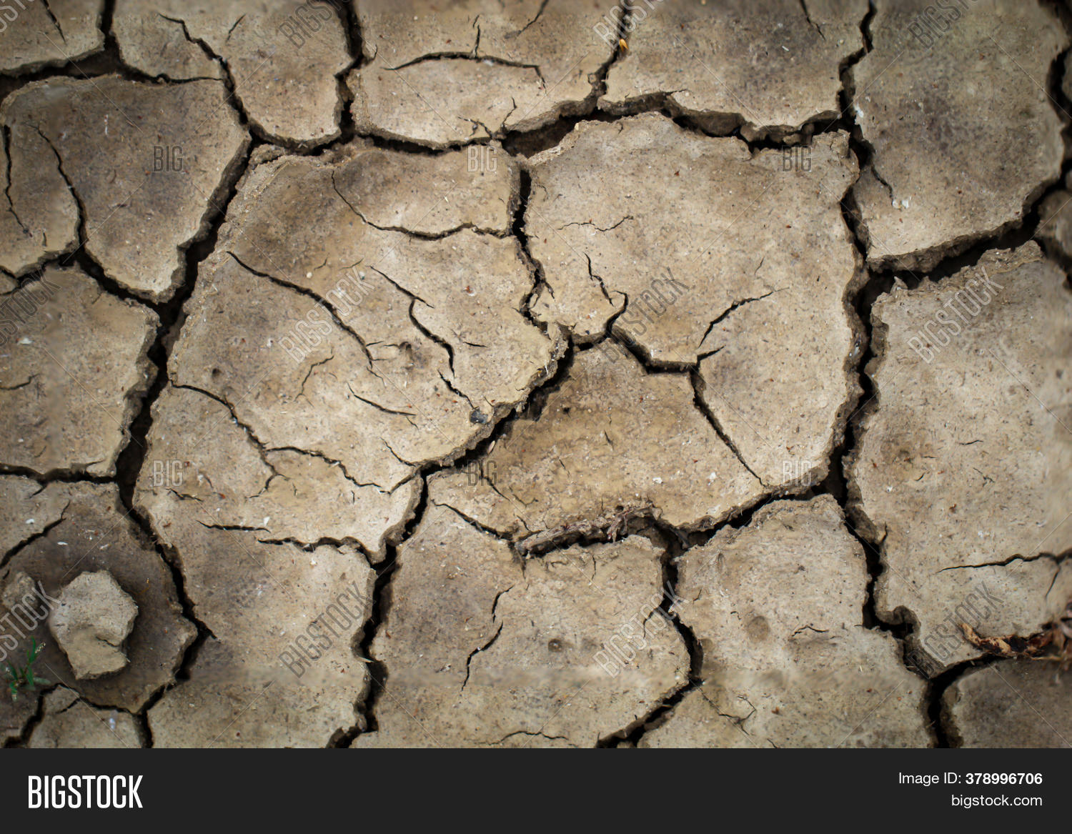 Texture Earth Dried By Image & Photo (Free Trial) | Bigstock