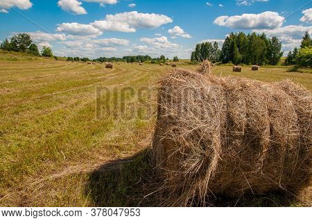Hay Field Images, Illustrations & Vectors (Free) - Bigstock