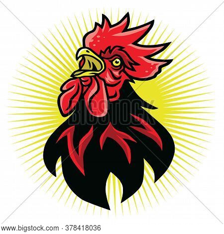 Angry Rooster Vector & Photo (Free Trial) | Bigstock