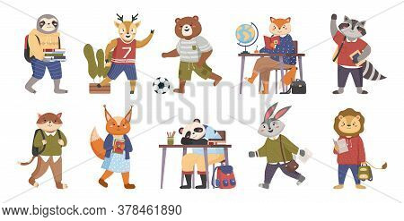 Animals Students Vector & Photo (Free Trial) | Bigstock