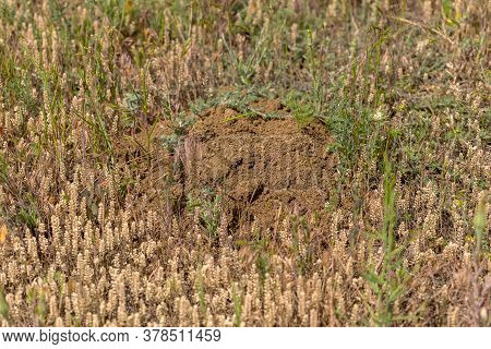 Traces Trench Earthen Image & Photo (Free Trial) | Bigstock