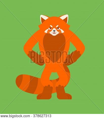 Red Panda Angry. Wild Vector & Photo (Free Trial) | Bigstock