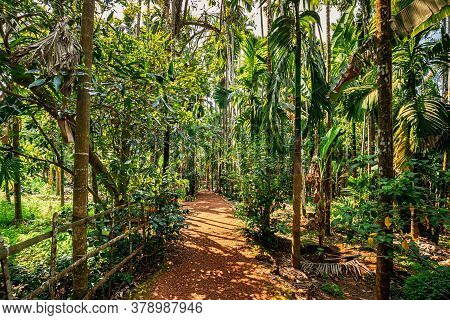 Goa, India. View Road Image & Photo (Free Trial) | Bigstock