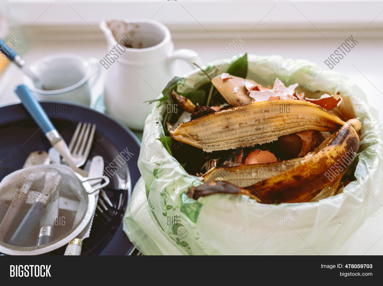Sorting Food Waste Image & Photo (Free Trial) | Bigstock