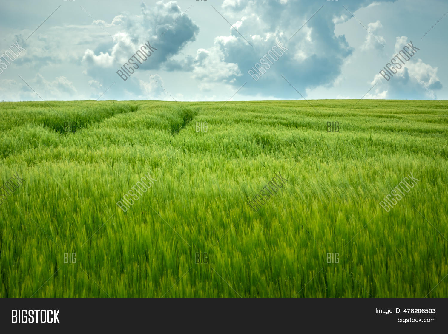 Large Green Field Image & Photo (Free Trial) | Bigstock