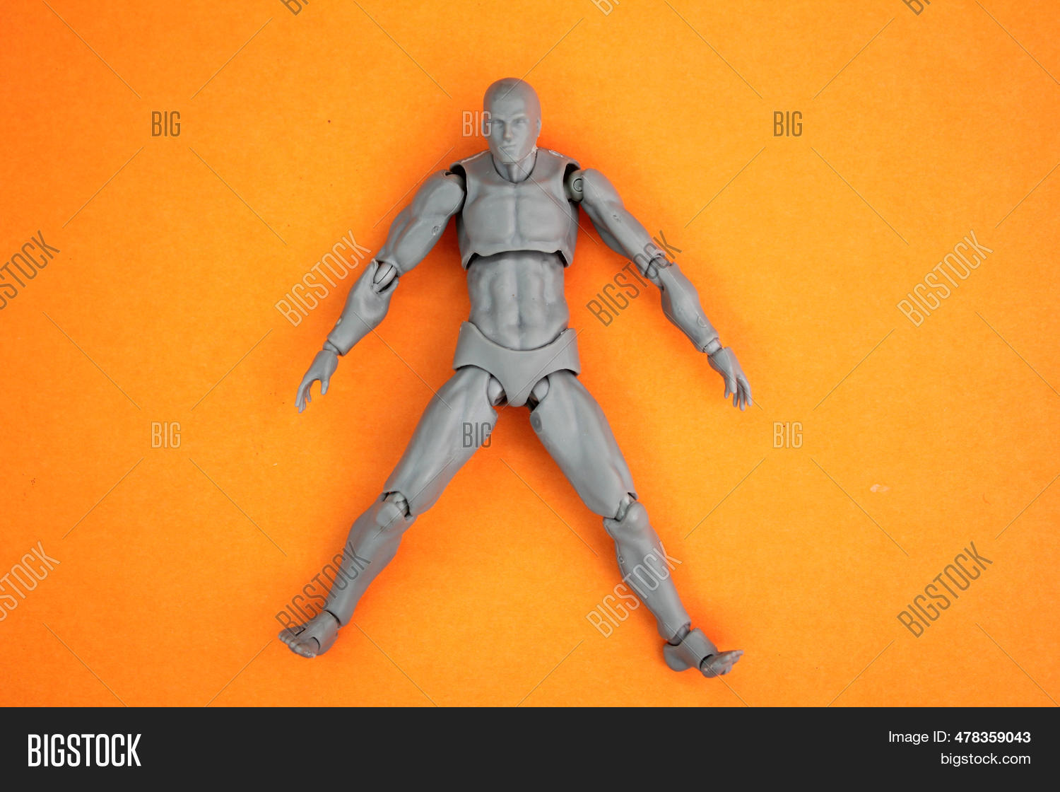 Anatomy Human Body. Image & Photo (Free Trial) | Bigstock