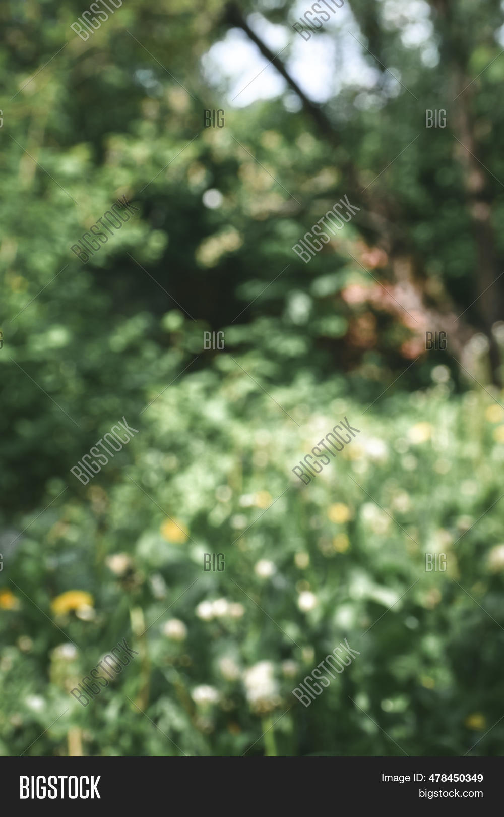 Blurred Garden Spring Image & Photo (Free Trial) | Bigstock