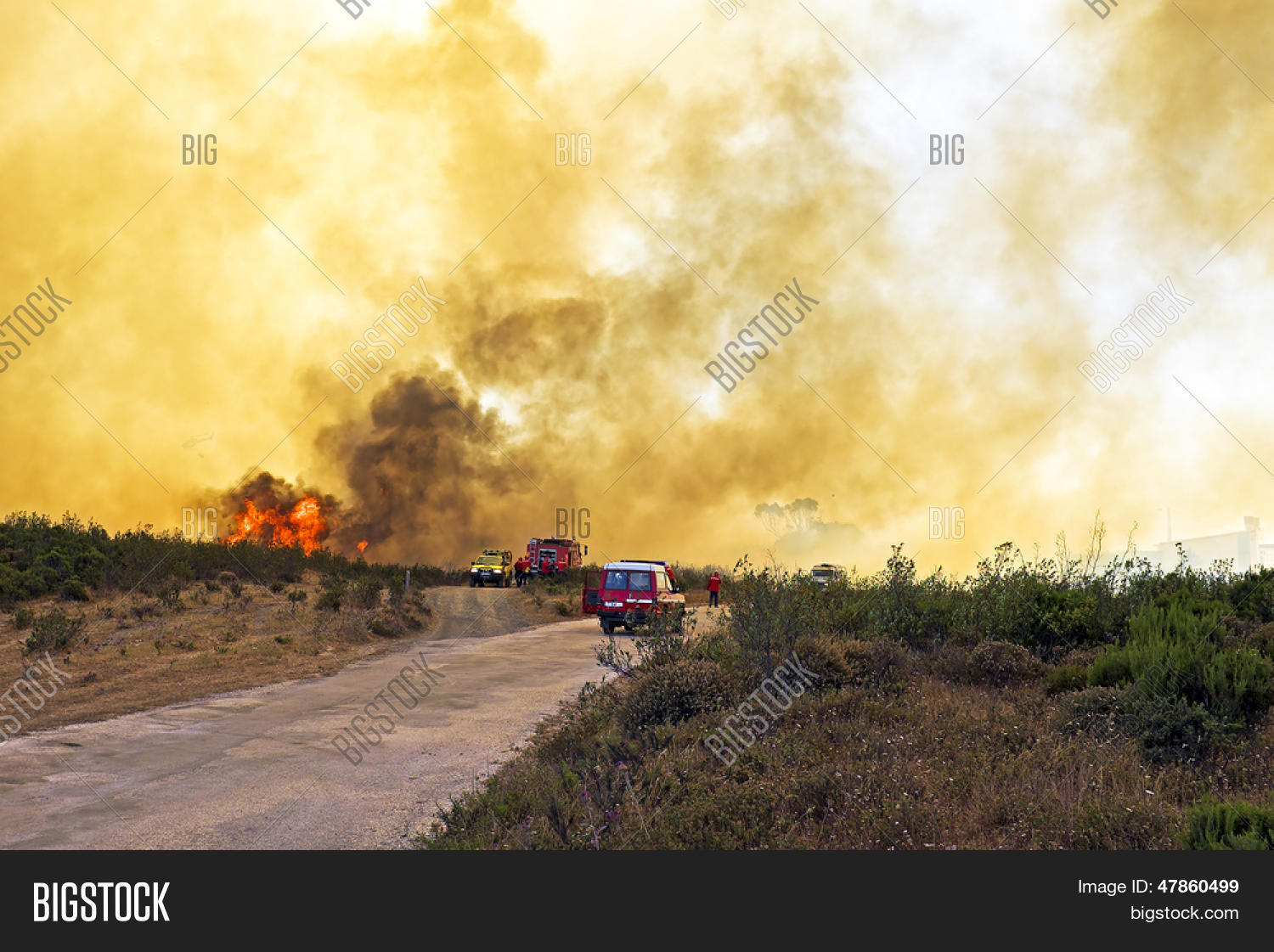Huge Forest Fire Image & Photo (Free Trial) | Bigstock