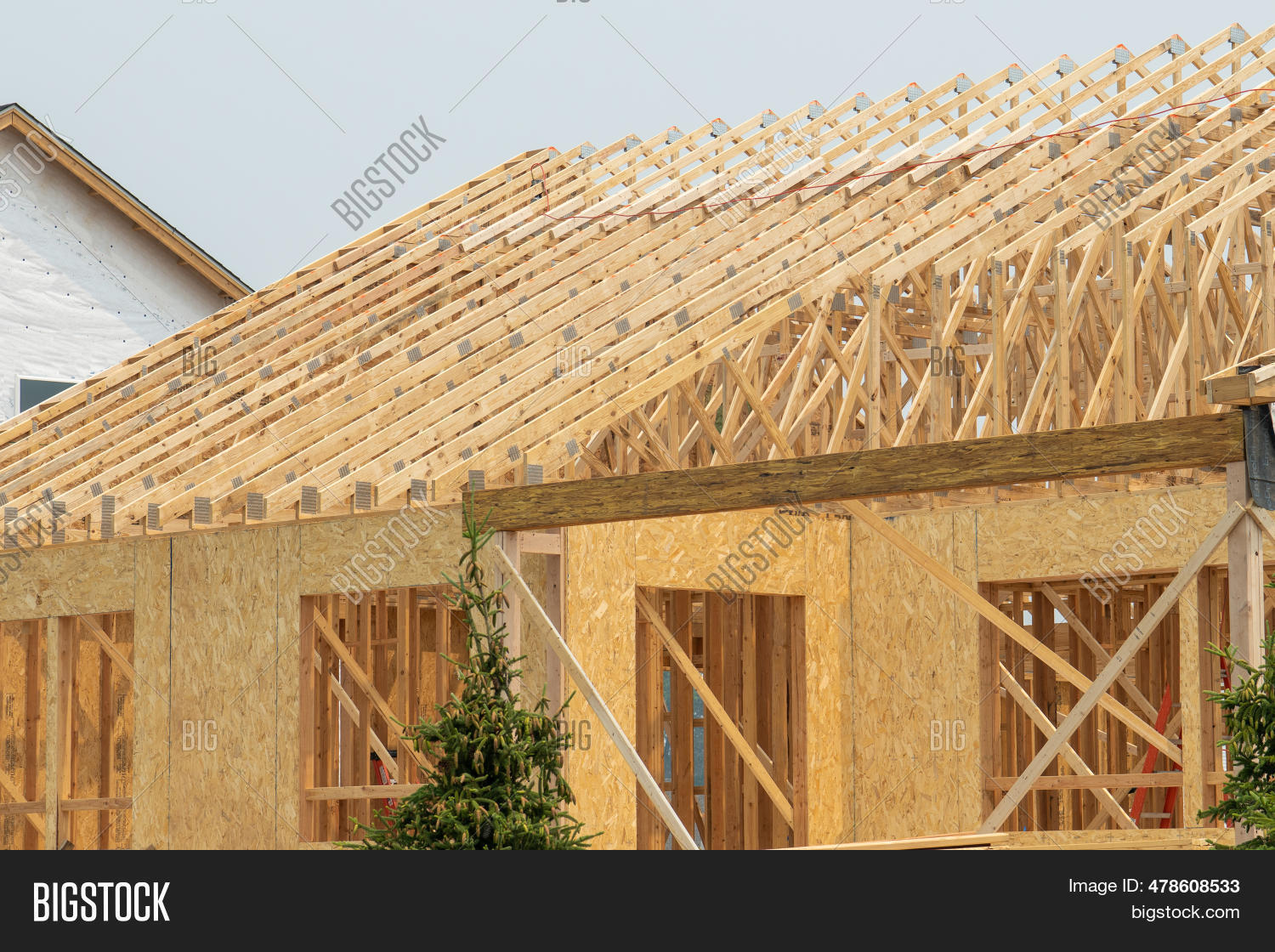 Plywood House Rafters Image & Photo (Free Trial) | Bigstock