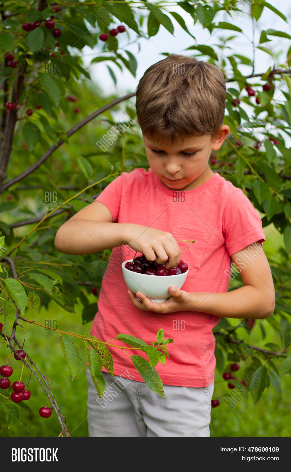Preschool Boy Picking Image & Photo (Free Trial) | Bigstock